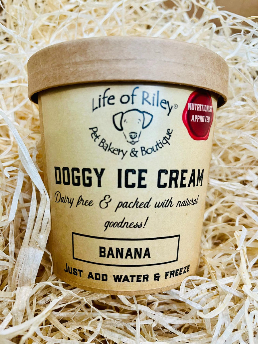 Doggy DIY Ice Cream Kit - Just Add Water! – Life Of Riley Bakery Ltd