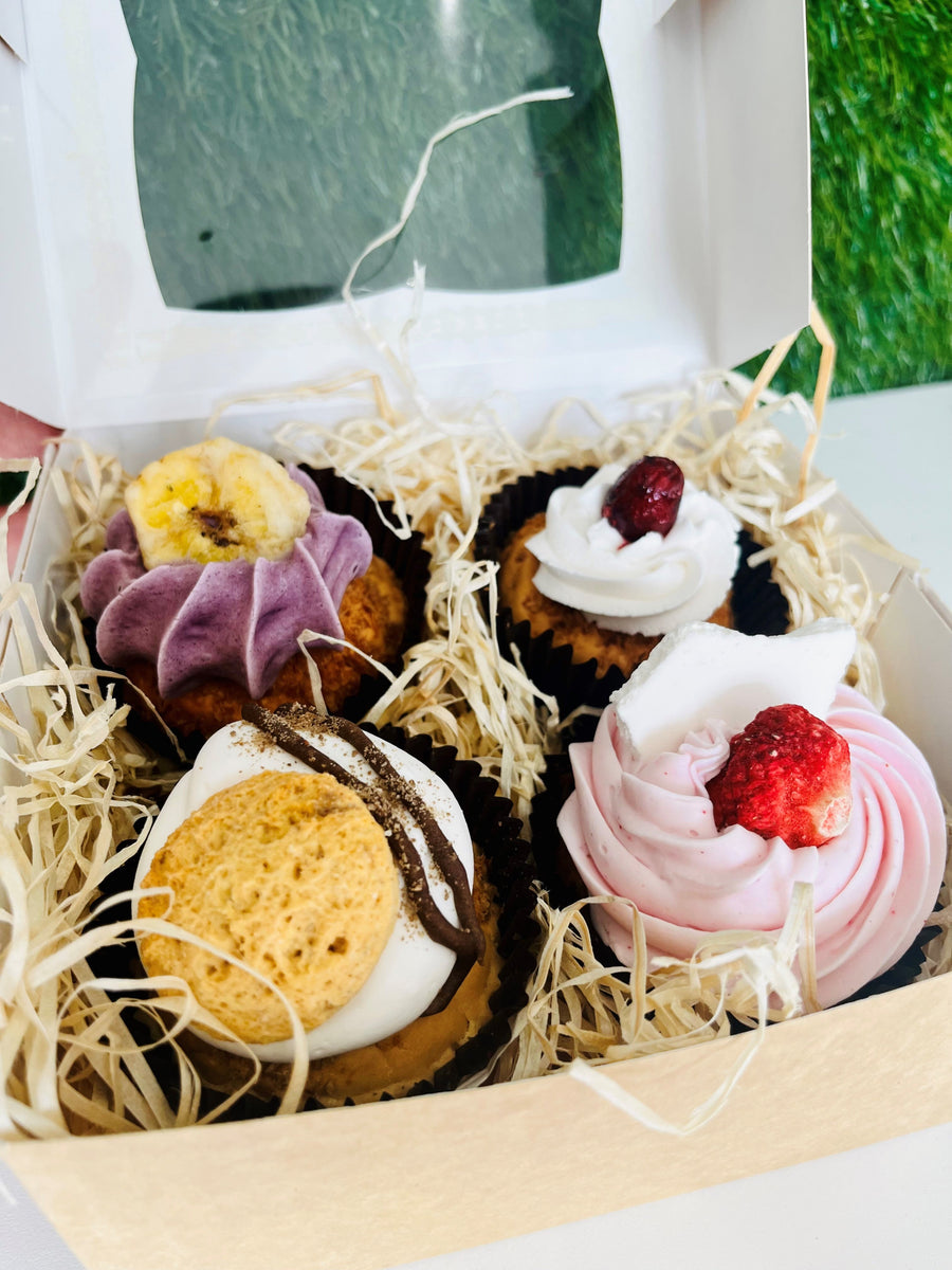 Luxury Doggy Pupcake Giftbox—Grain Free Natural Dog Cupcake | Healthy ...