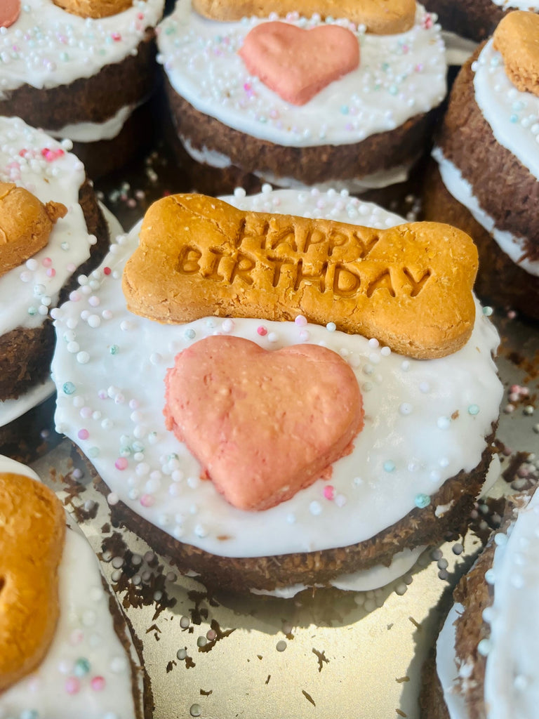 Dog Birthday Cake—Grain Free Natural Dog Treats – Life Of Riley Bakery Ltd